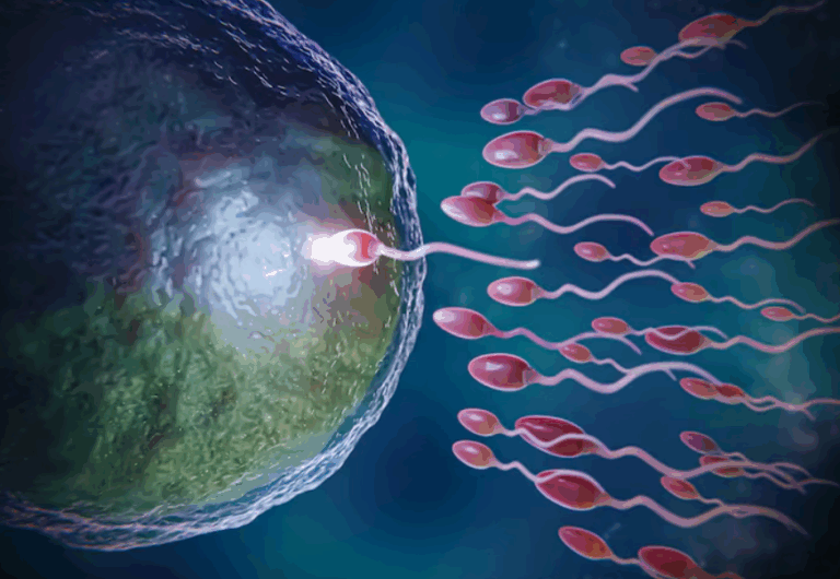 Know The Effects of Hyperspermia on Male Fertility